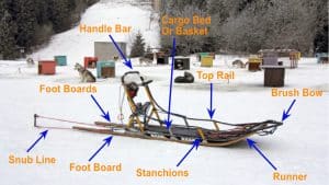 Dog Sledding For Beginners | The Ultimate Guide